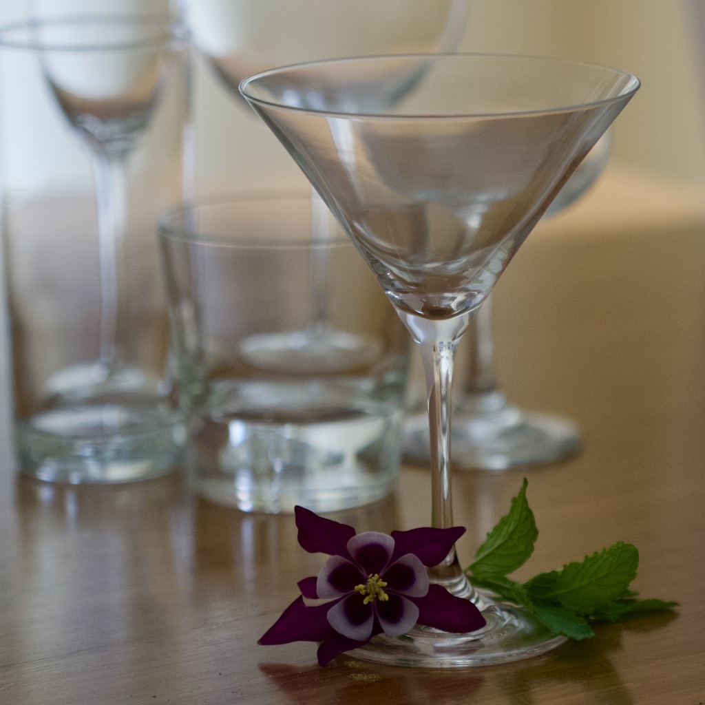 Gin Vessels - Pick the best glass for your gin cocktail - First Order Gin