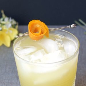 Gin and Bitters Cocktail Bring on the Flavors - First Order Gin